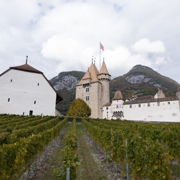 Über Uns - Propriété Veillon – Au cloitre